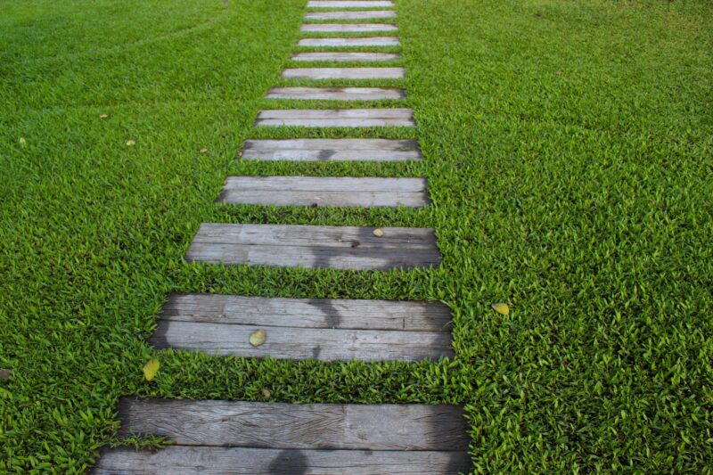 What Is Spoon Feeding Lawn? | Baton Rouge Sod