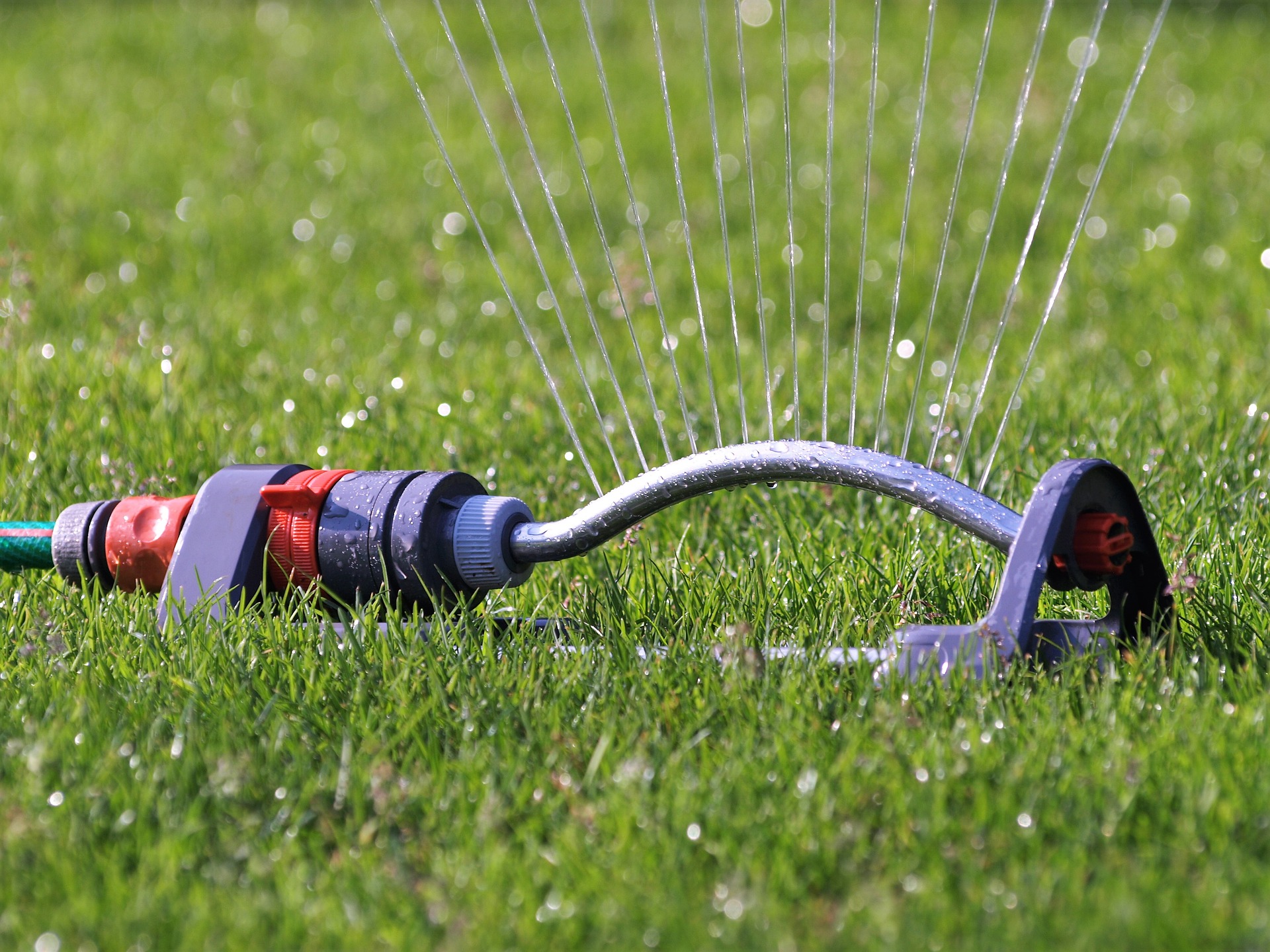 Best Sprinklers For New Sod | Baton Rouge Sod