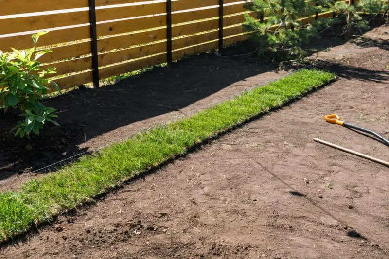 Autumn Sod Installation: Can You Lay Sod In The Fall