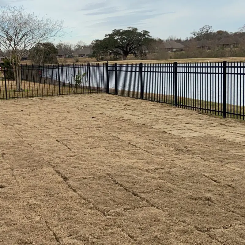 ProVista St. Augustine Grass Sod