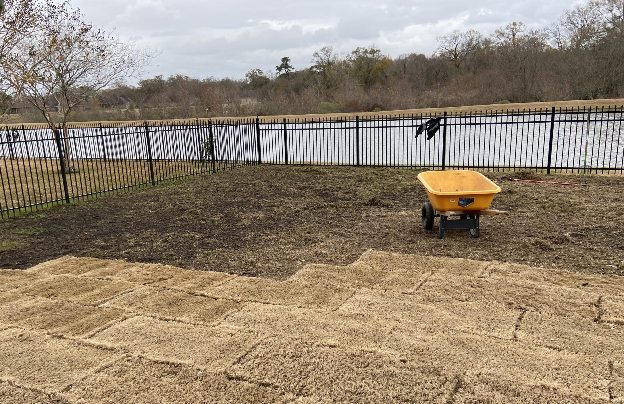 Can You Lay Sod in the Winter?